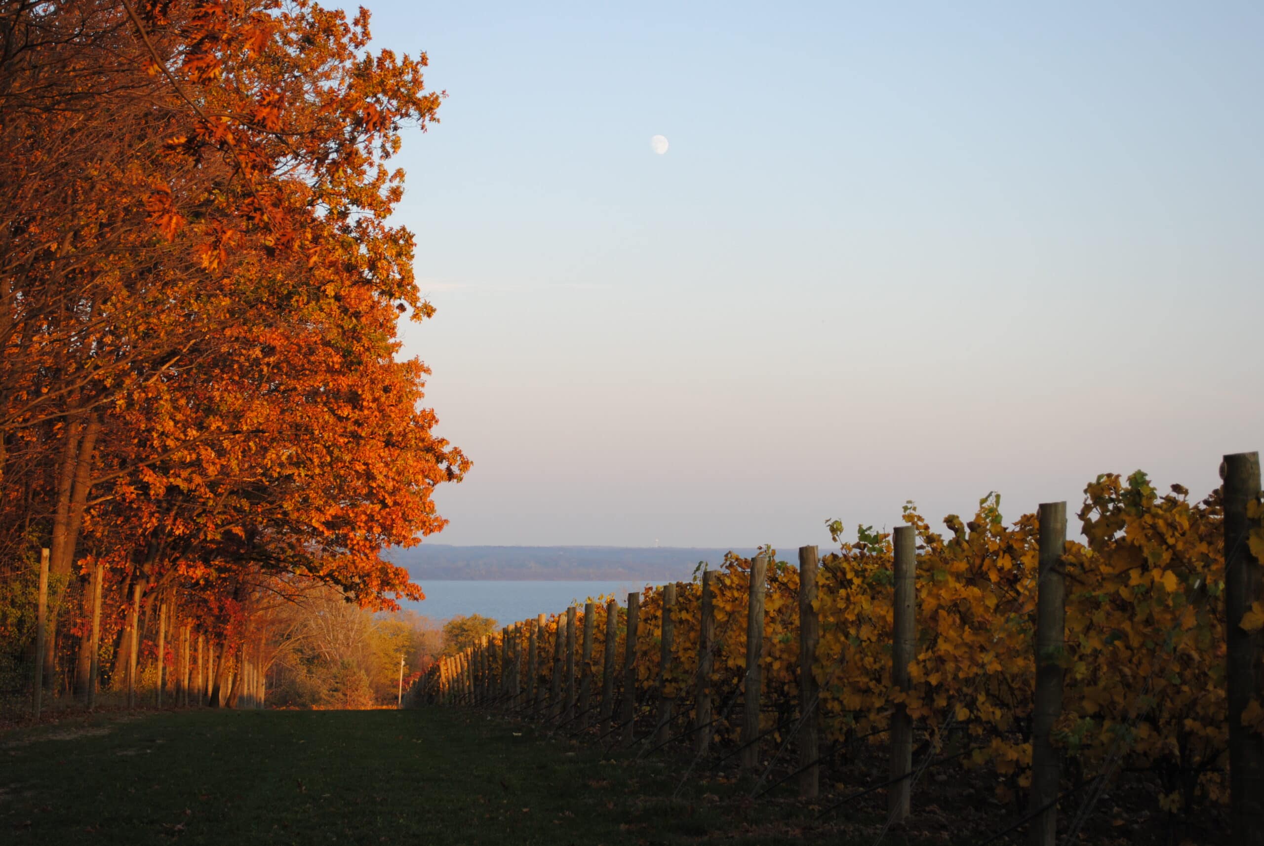 This Place - Red Tail Ridge Winery